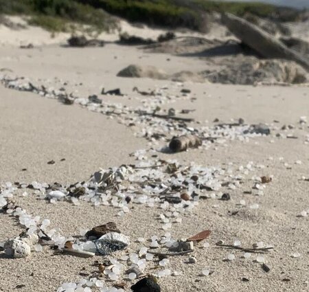 Documents & Guides - ITOPF