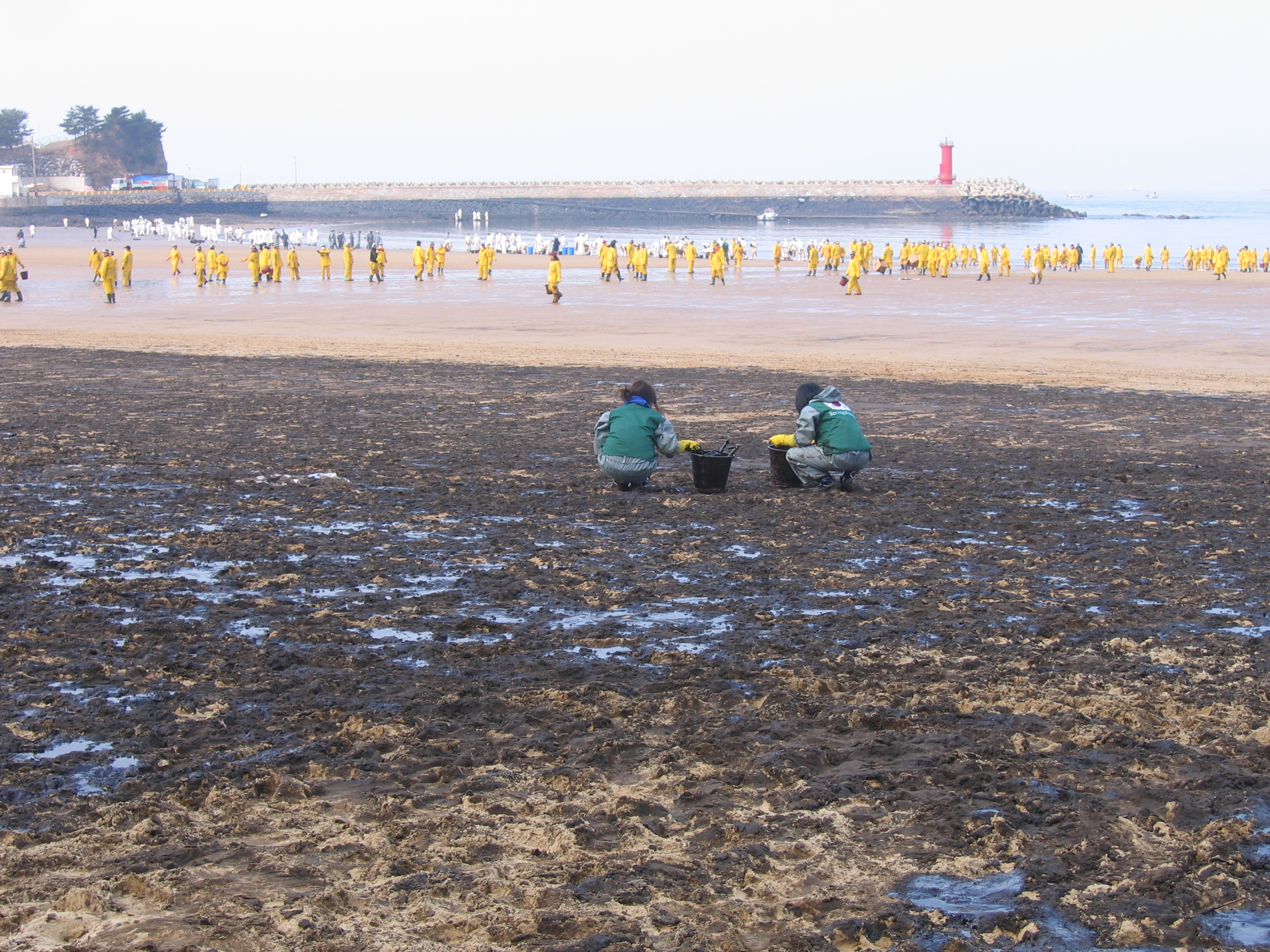 Shoreline Clean-Up and Response - ITOPF